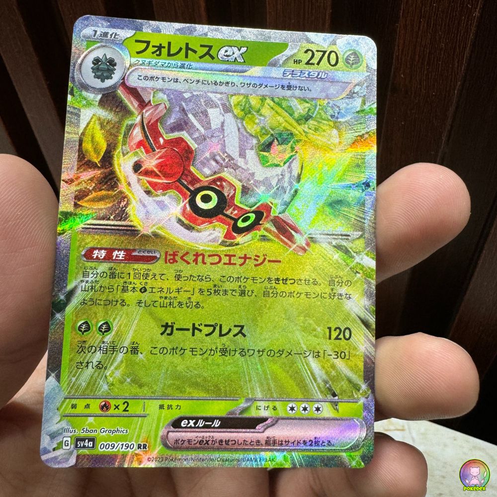 Single Cards – Pokédex